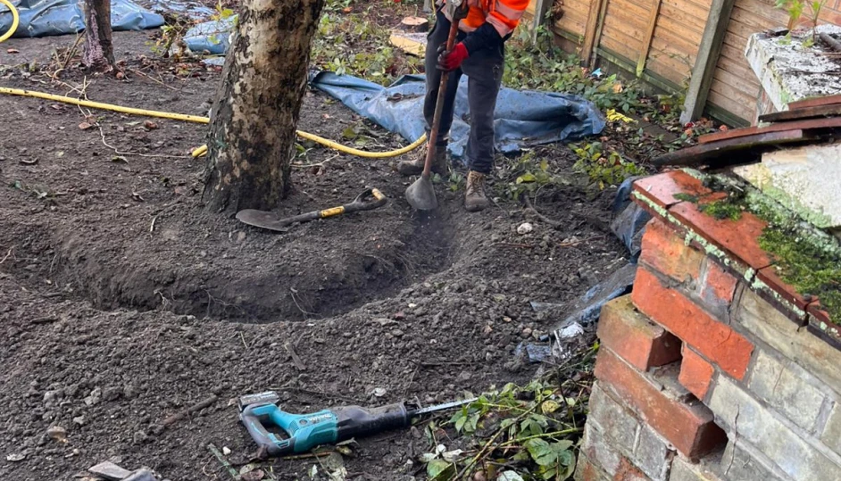 Air Spade Excavation - Safe, Non-Invasive Tree Care | Ruskins